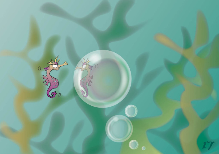 The Role of the Observer – Innovative Resources