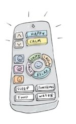 Furious! Helping Children Manage Anger – Innovative Resources