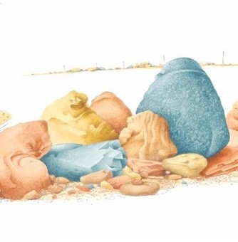 Celebrating diversity and building empathy in early primary using ...