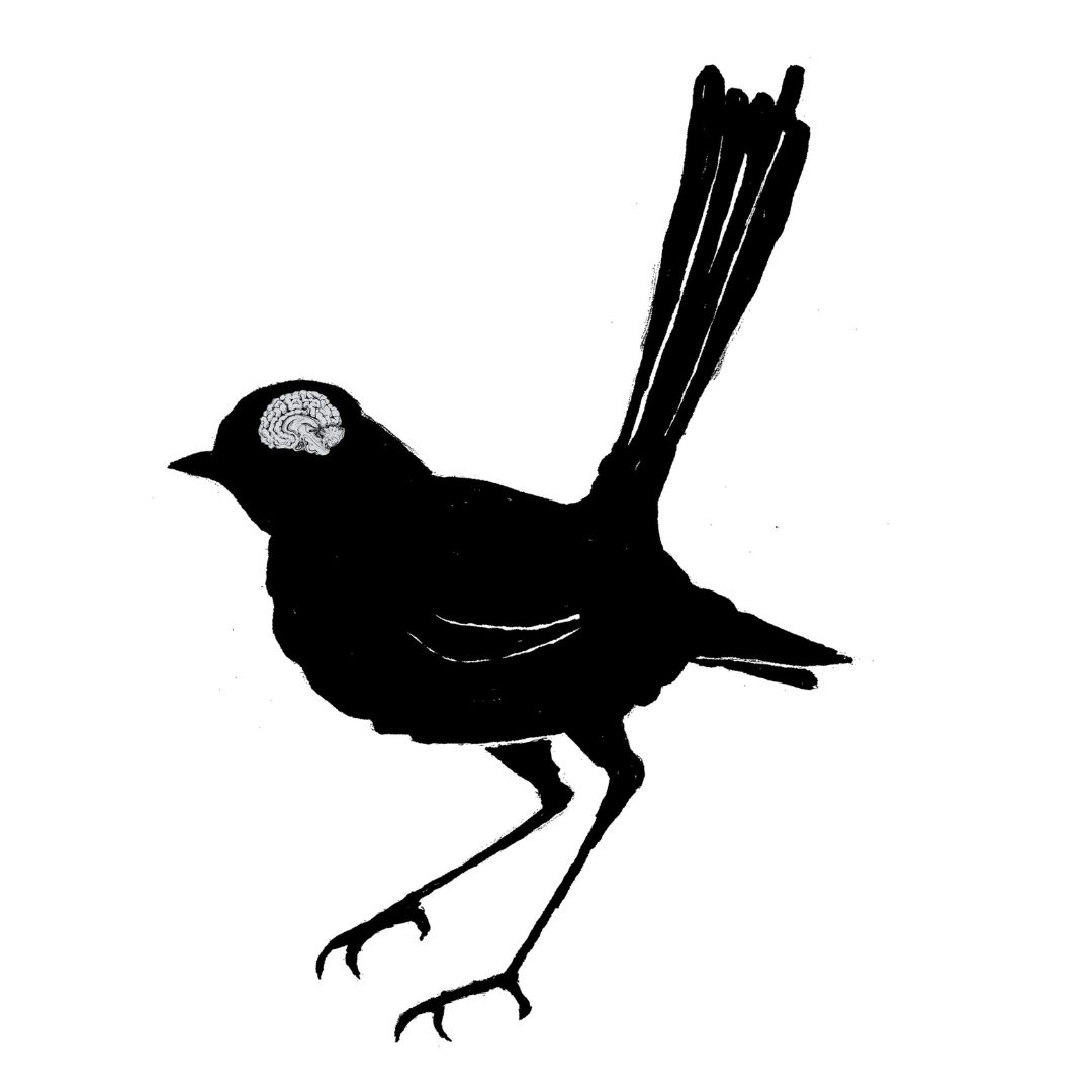 What we can learn from neuroesthetics – the study of how art changes ...